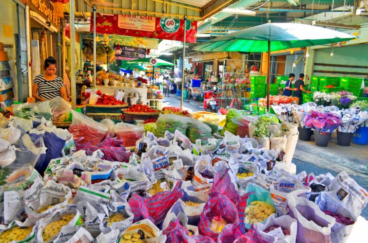 "Pak Khlong Talat" A Colorful Flower Market | Thailand Travel Map